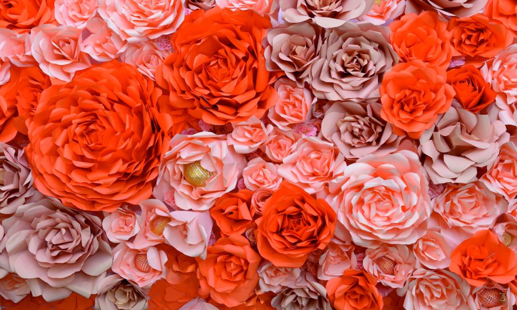 Red & Pink Rose Flower Wallpaper for Bedroom