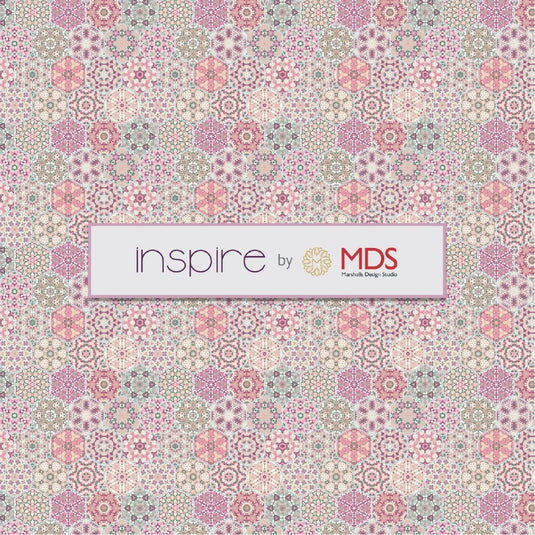 Inspire Ⅰ – Marshalls India