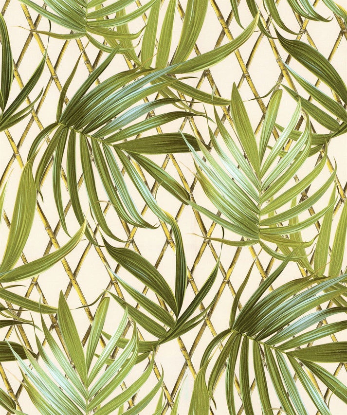Bambool Leaves (15503) – Marshalls India